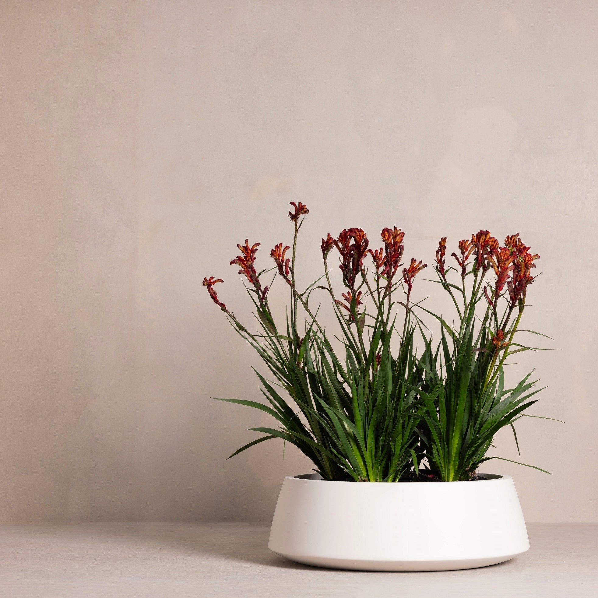 Gifting with Hibernate – Hibernate Outdoors